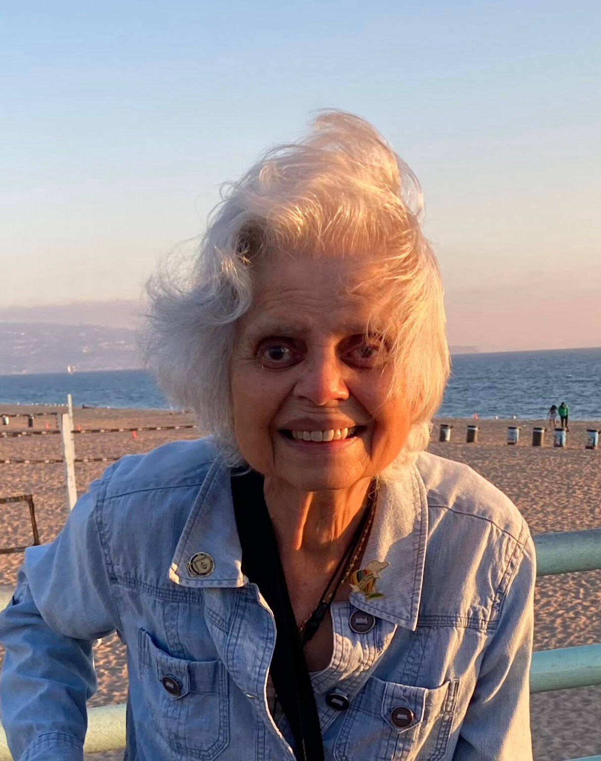 Prominent Indian-American Mathematician Chitra Adarkar Passes Away ...